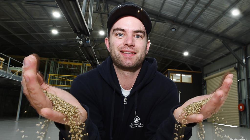 Australia: la canapa alimentare è legale e spinge consumi e ...