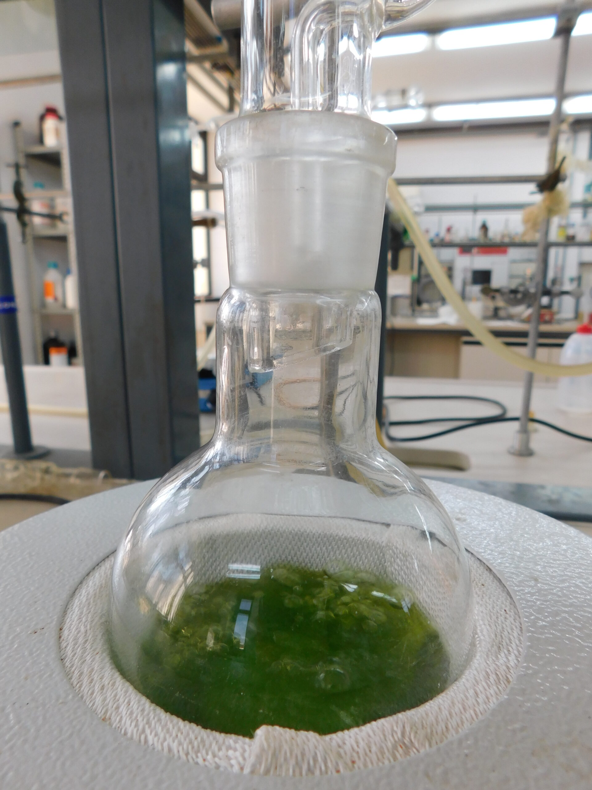 I cannabinoidi e i terpeni della canapa industriale - Canapa ...