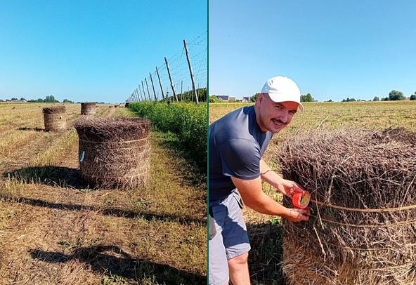 Hemp4Circularity: il progetto europeo che punta sulla canapa tessile ...